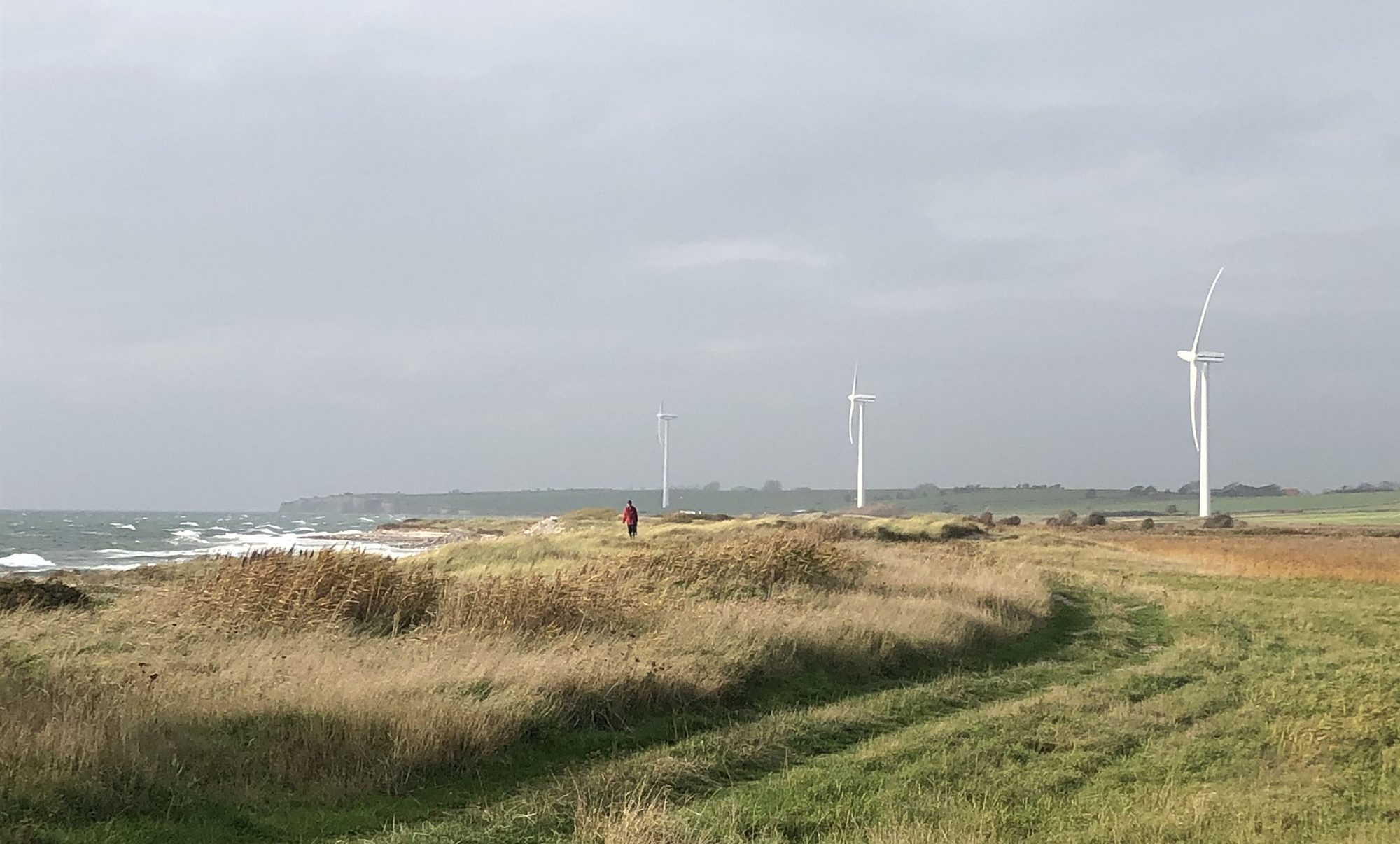 Climate municipality Ærø in Denmark - Nordregio projects
