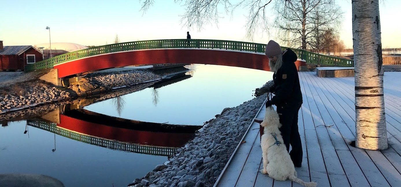 Piteå in Sweden: Competitive and proud - Nordregio projects